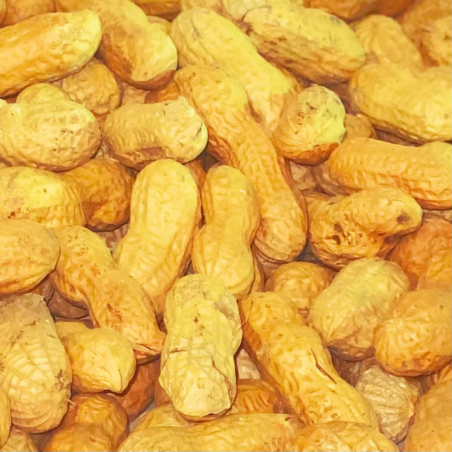 Collections – Jeppi Nut & Candy Company